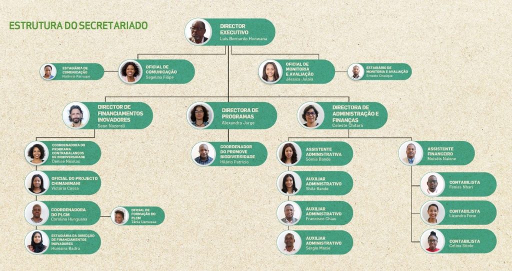 O Que é a BIOFUND? | Biofund